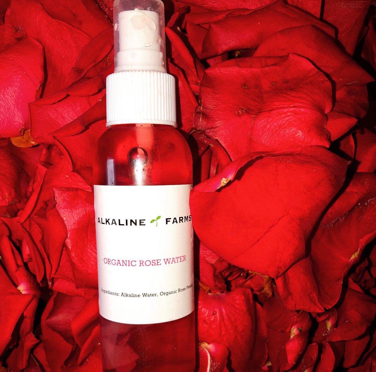 ORGANIC ROSE WATER | ALKALINE FARMS